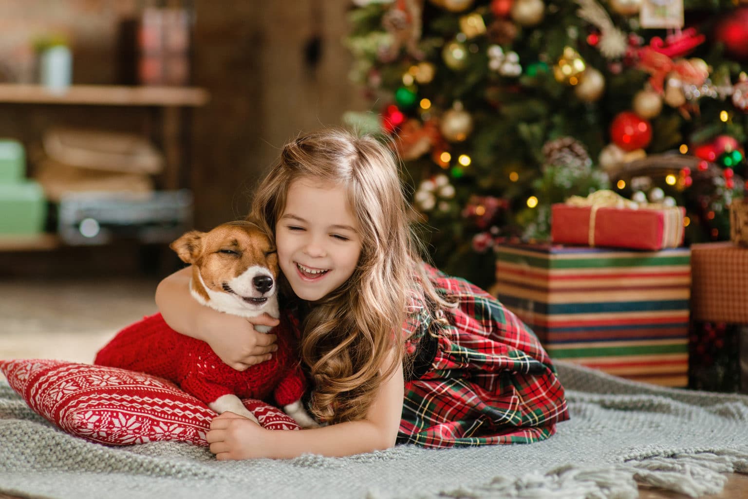 Preparing Your Dog for Holiday Guests - Very Important Paws