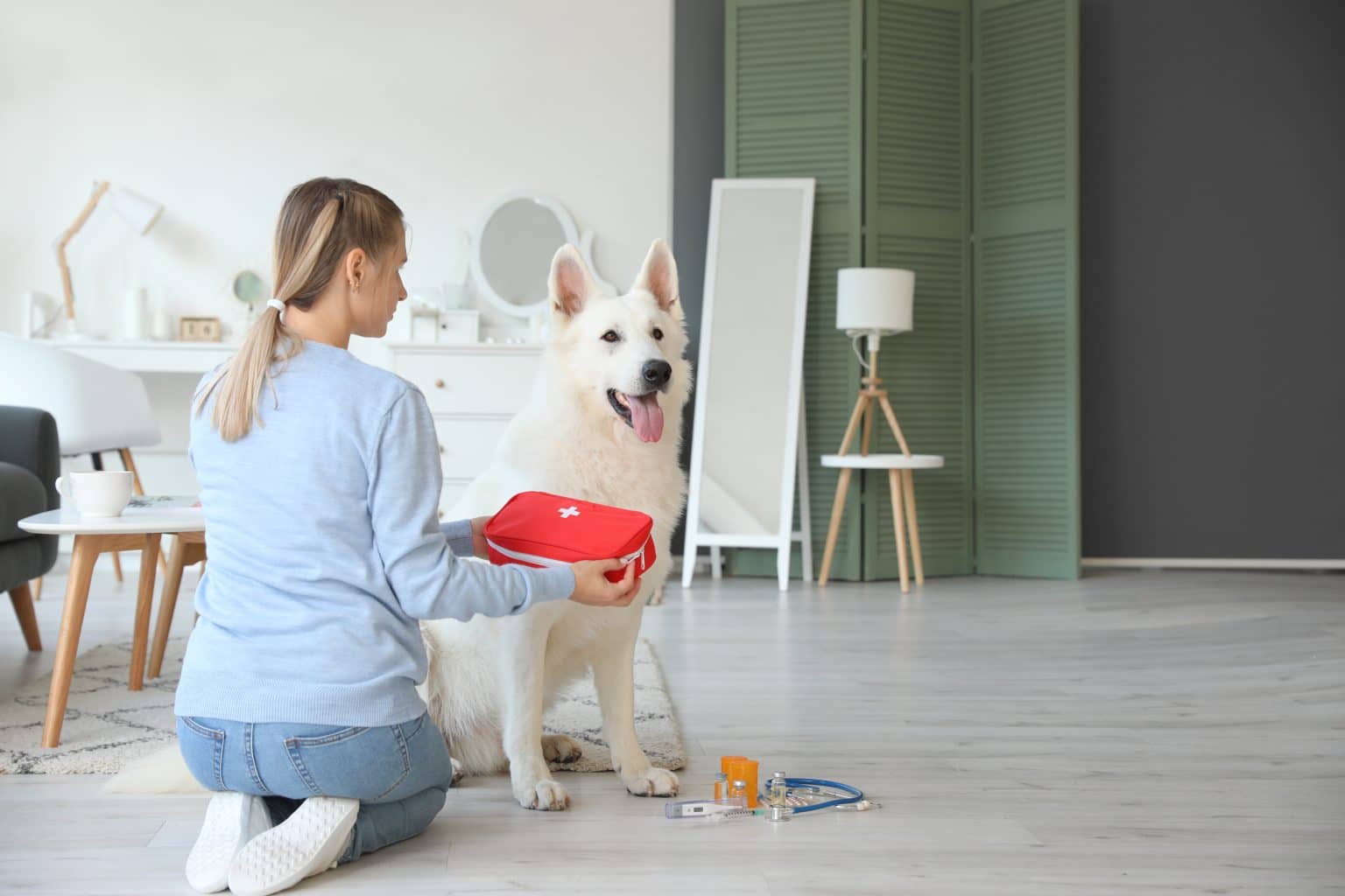 How to Create Your Own Pet Disaster Preparedness Kit