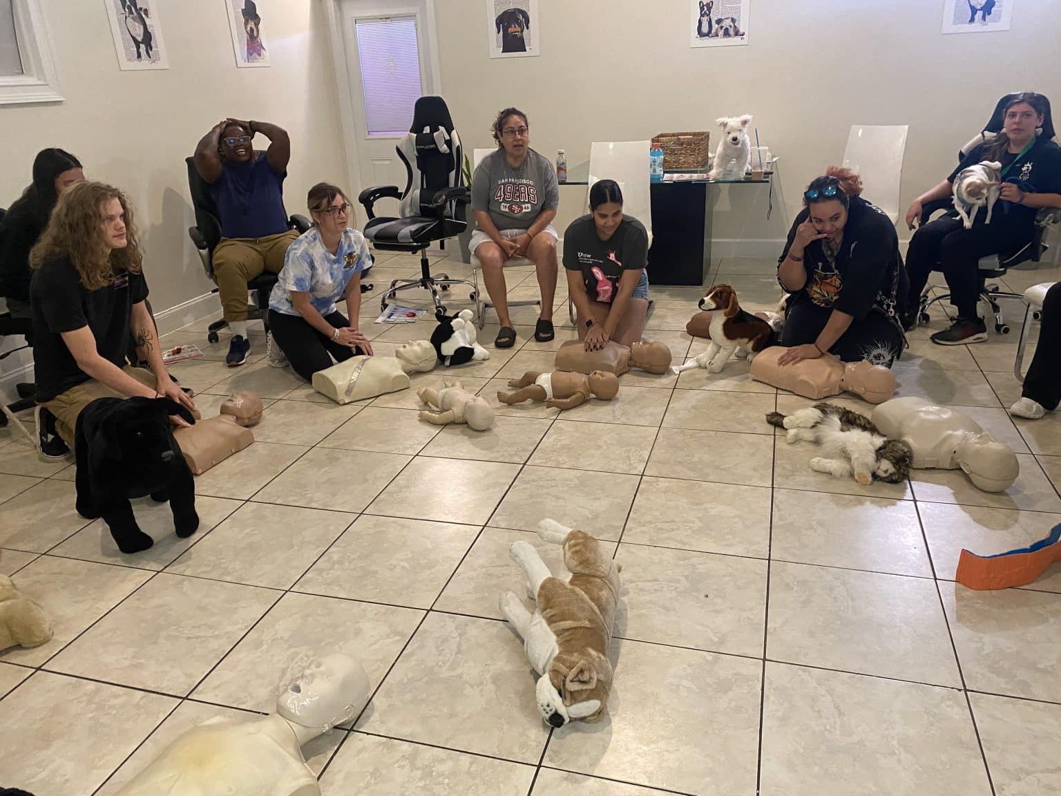 Pet CPR Certification For VIP's Staff - Very Important Paws