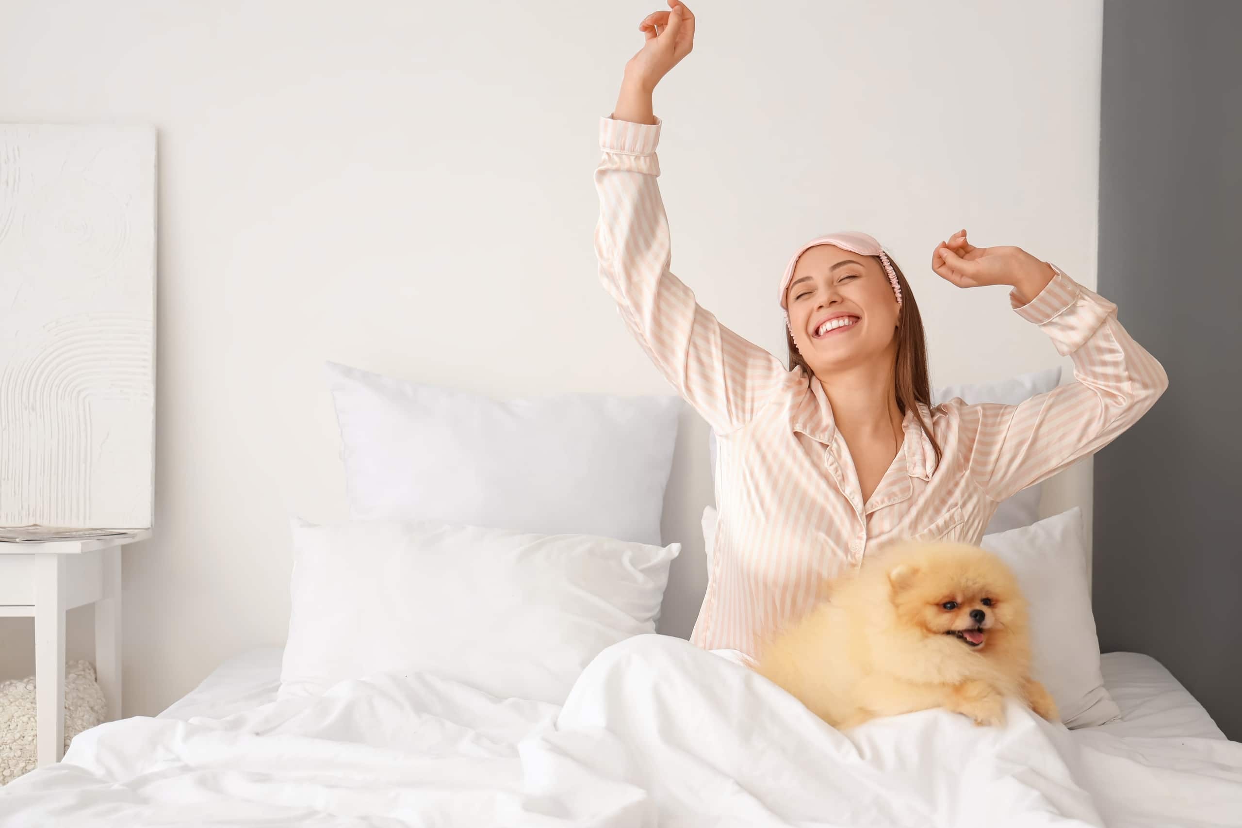 Why Dogs Are the Best Alarm Clocks? - Very Important Paws